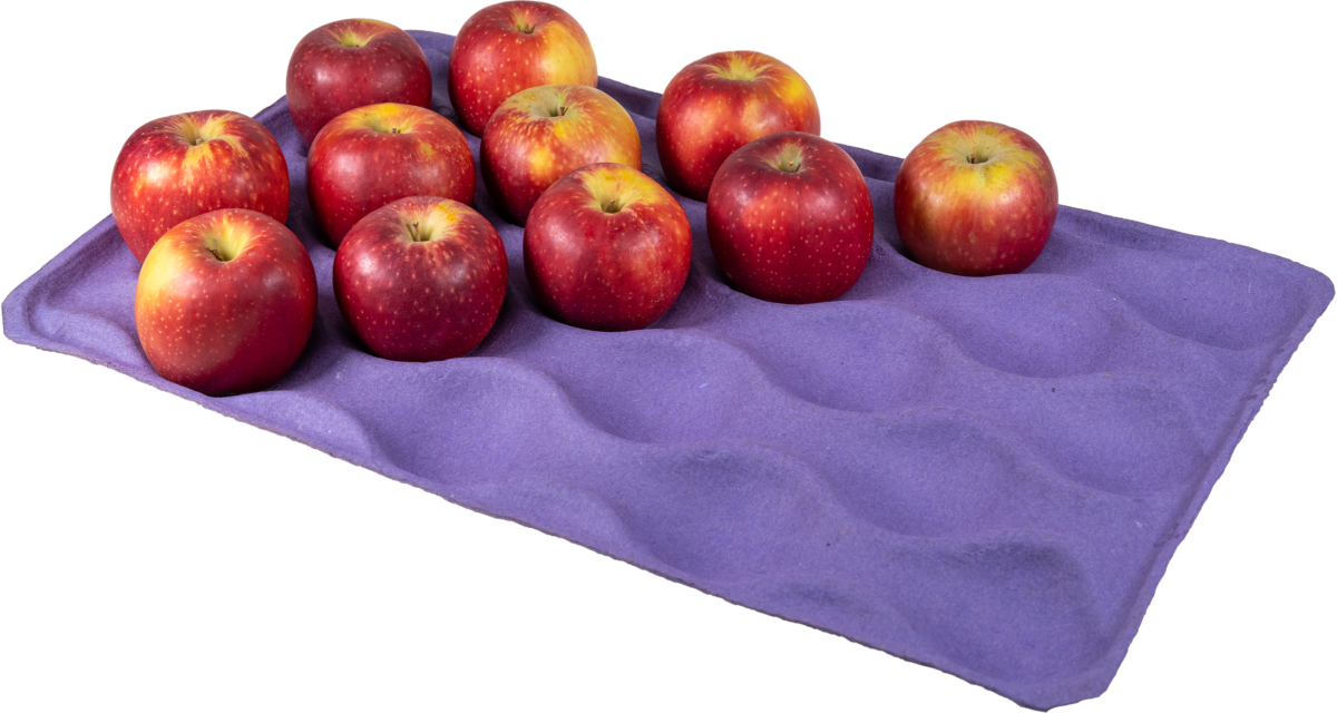 Apple Molded Pulp Trays - Michelsen Packaging