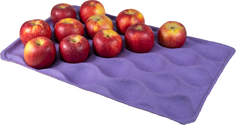 Apple Molded Pulp Trays - Michelsen Packaging