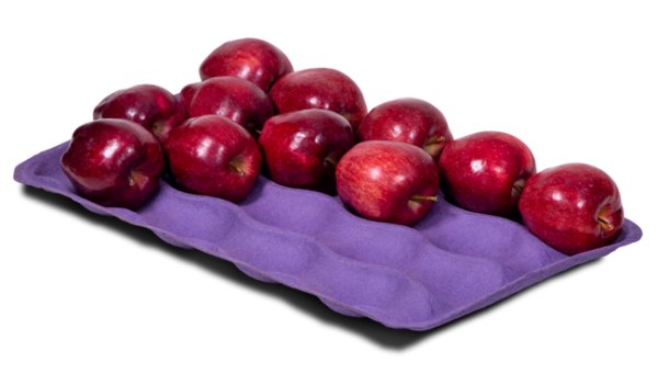 Converted Paper Products - Michelsen Packaging